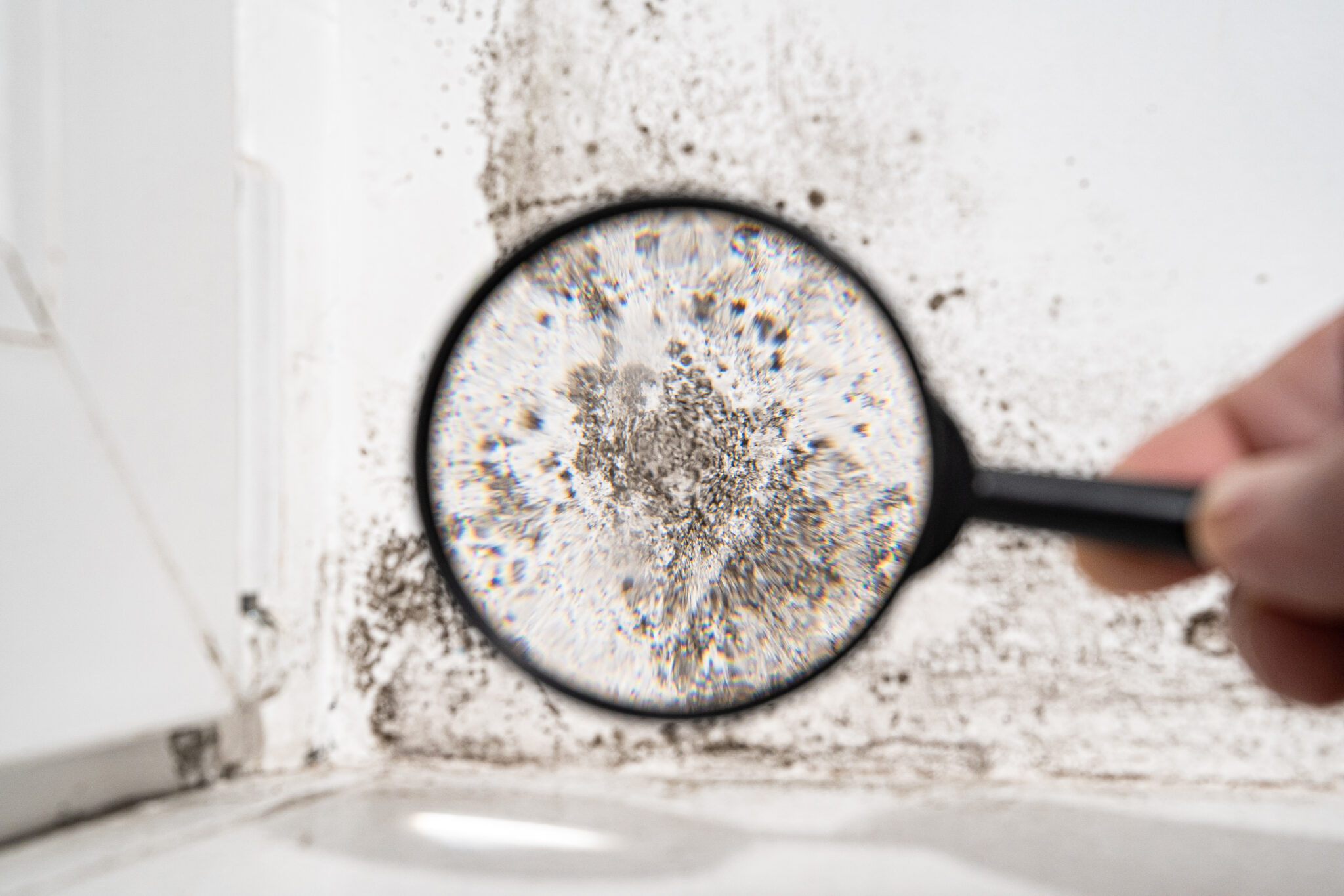 4 Ways To Effectively Remove Mold In Your Home