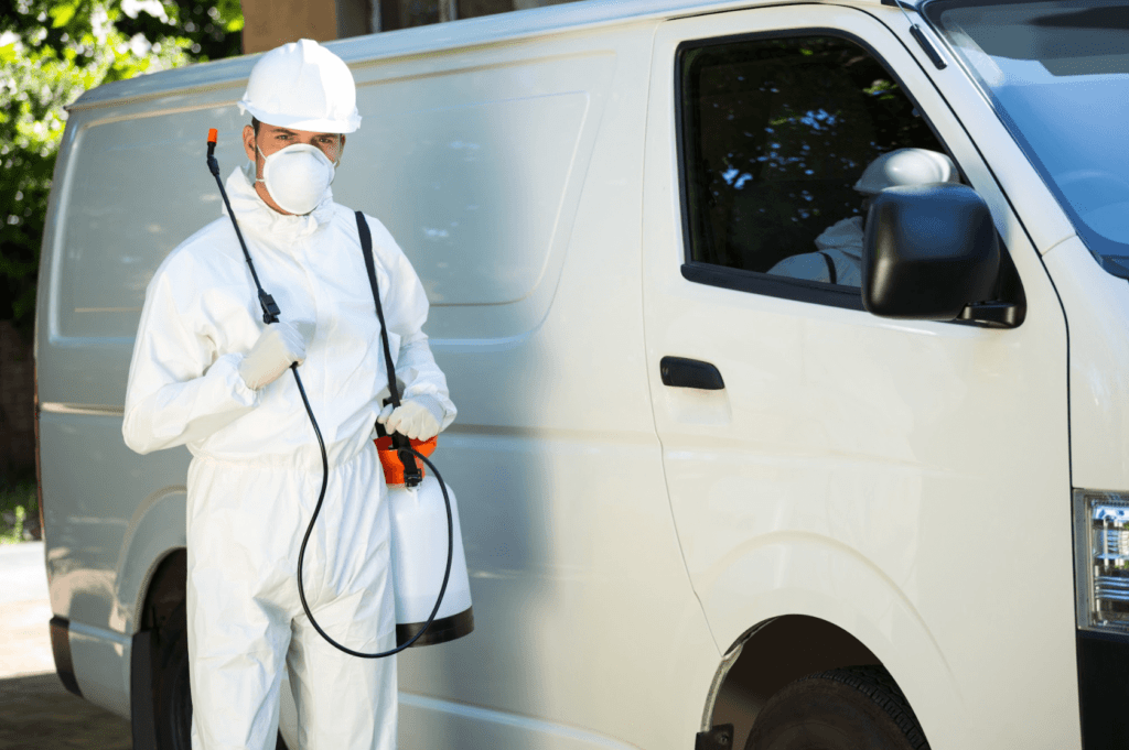 Top 10 Pest Control Tips To Keep Your Home Safe