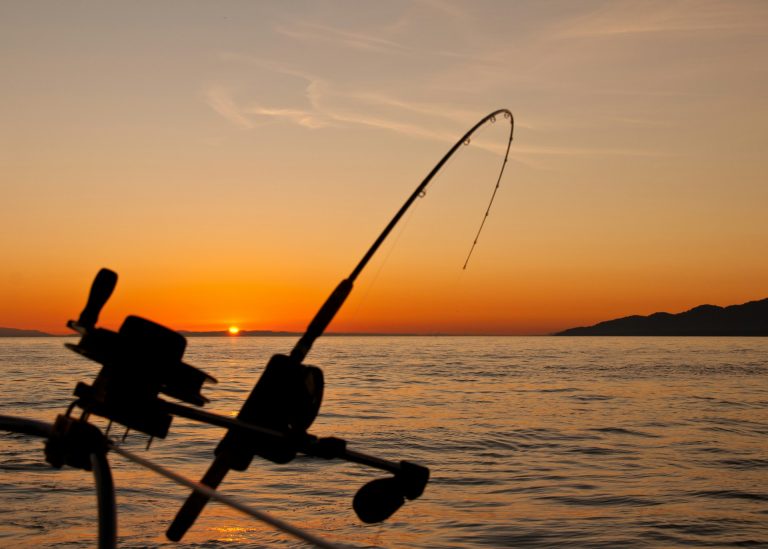 Choosing the Right Fishing Charter: A Beginner's Guide